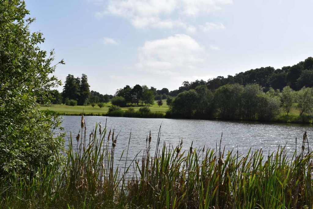 Godstone Golf Course | Surrey | Image Gallery